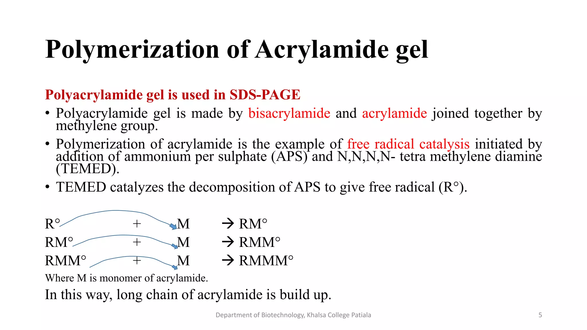 SDS PAGE | PDF