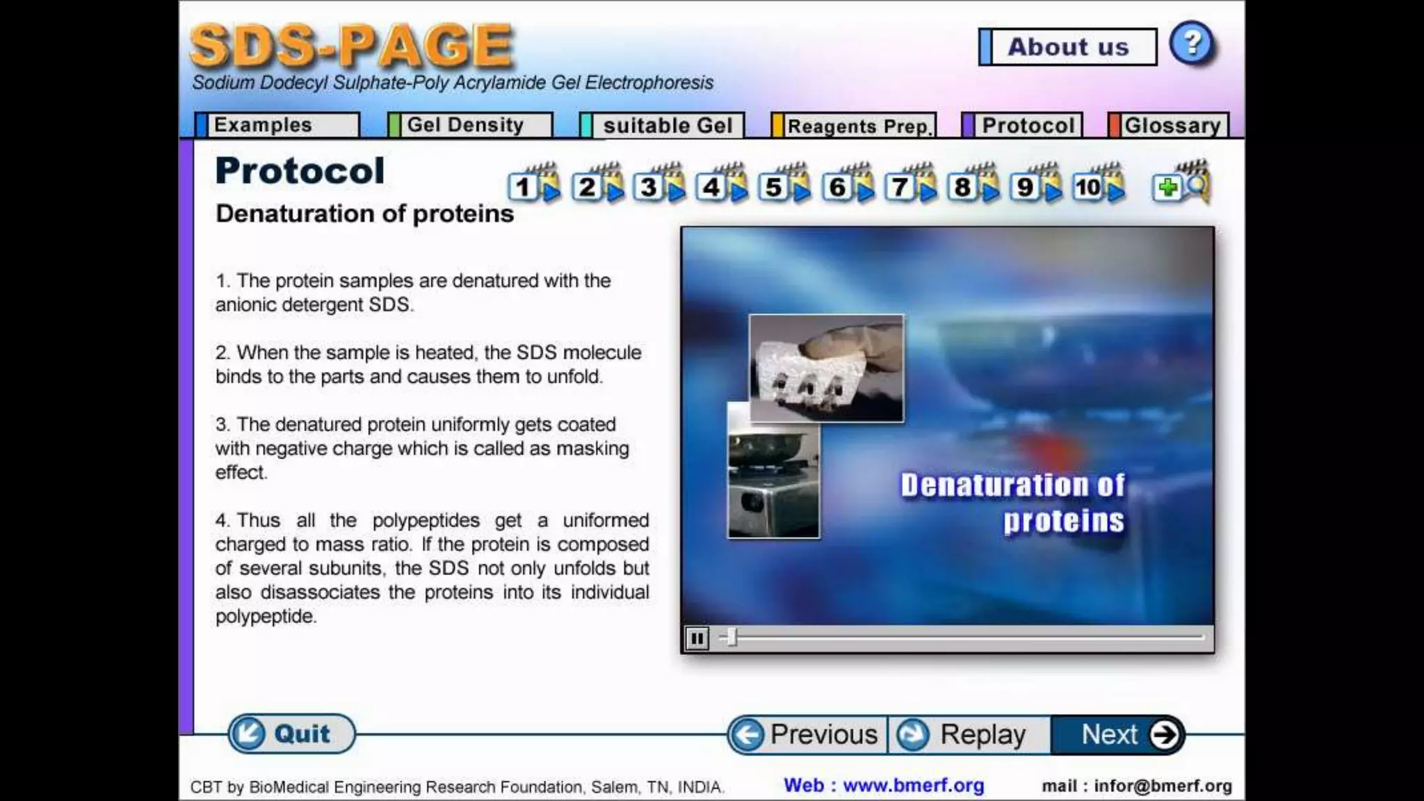 SDS PAGE - Bio-med Tech Presentation 2005 | PPT | Free Download