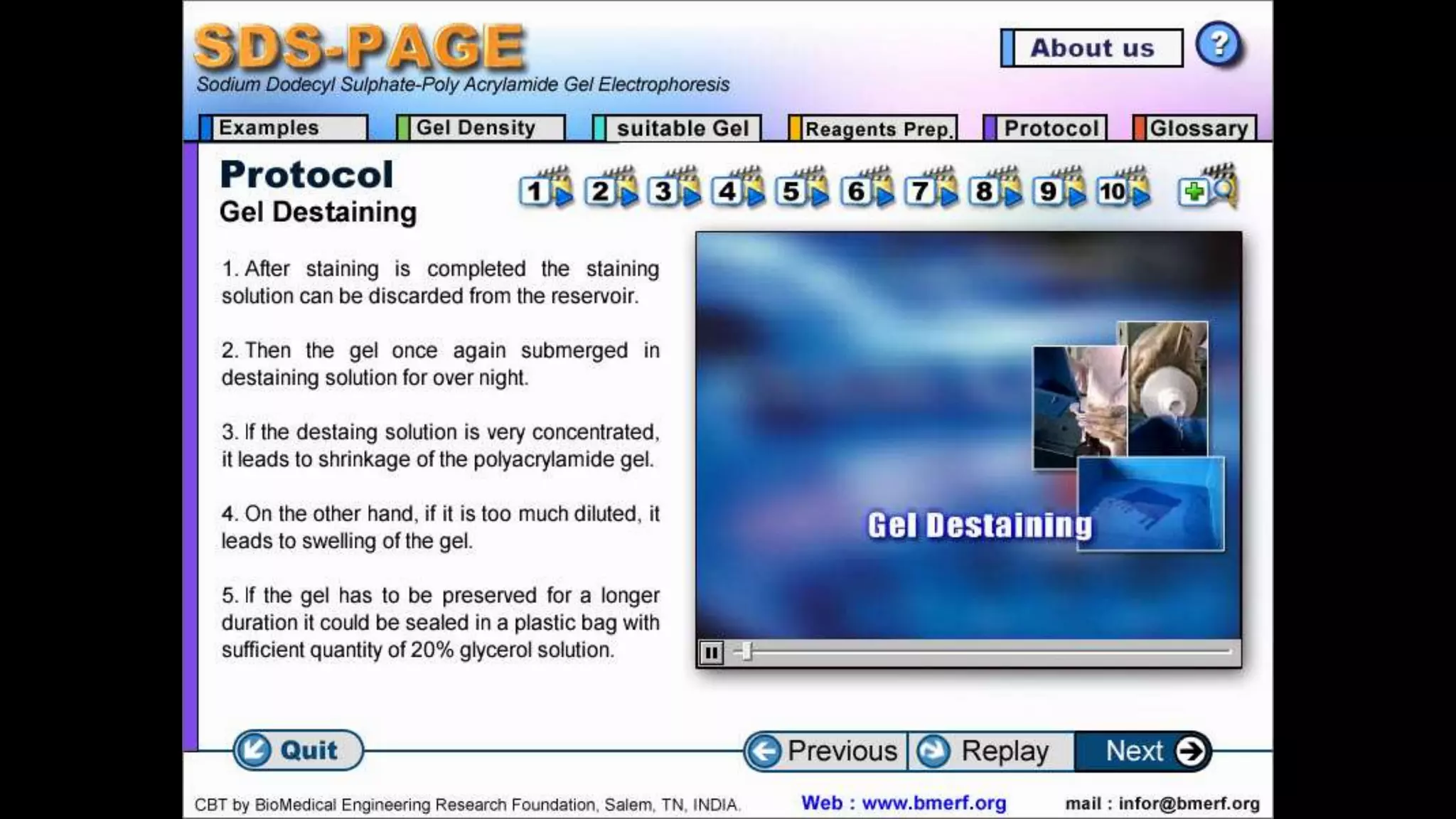 SDS PAGE - Bio-med Tech Presentation 2005 | PPT | Free Download