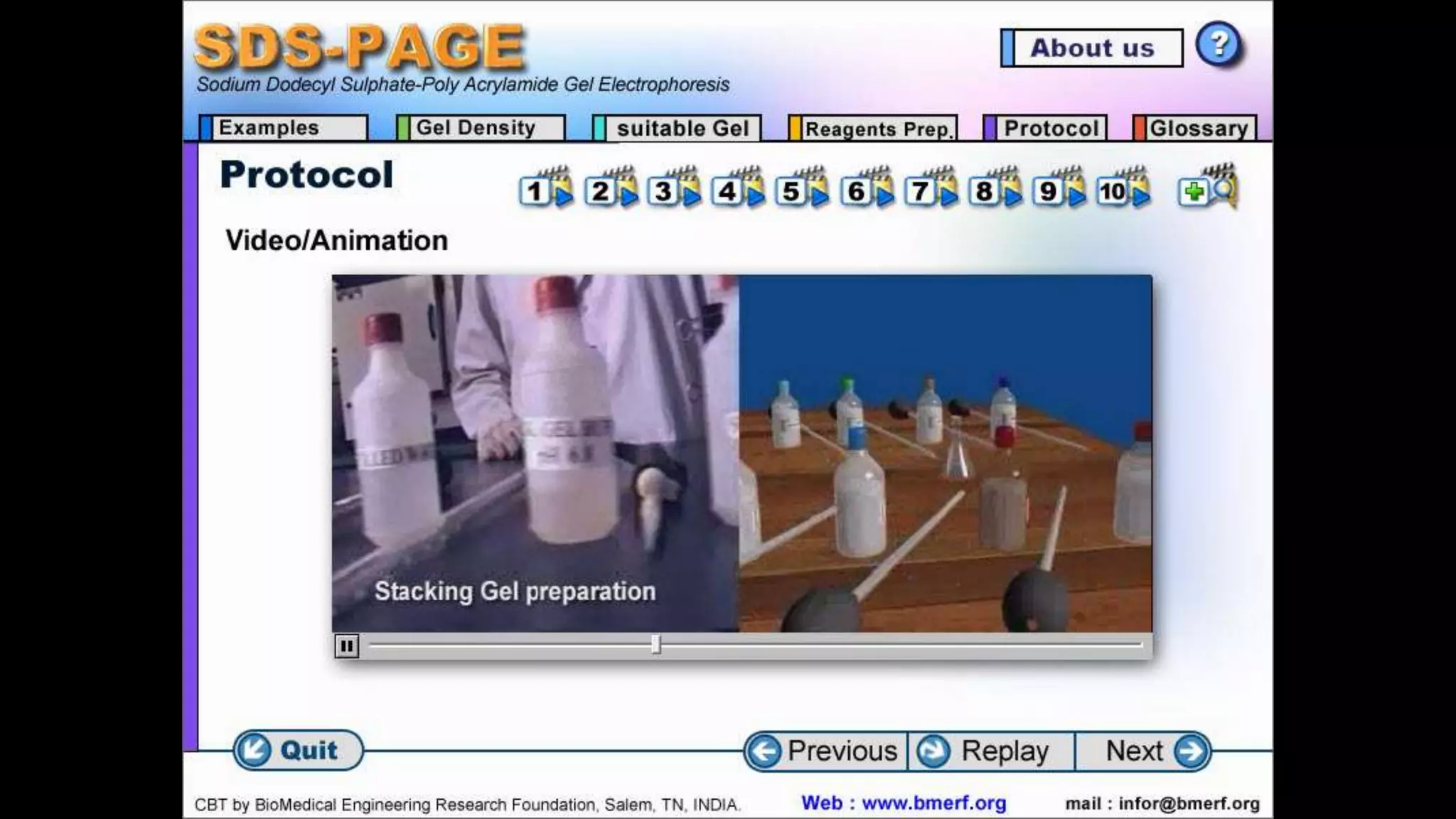 SDS PAGE - Bio-med Tech Presentation 2005 | PPT | Free Download