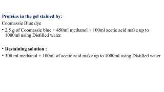 SDS- PAGE and 2D- electrophoresis used in lab.pptx