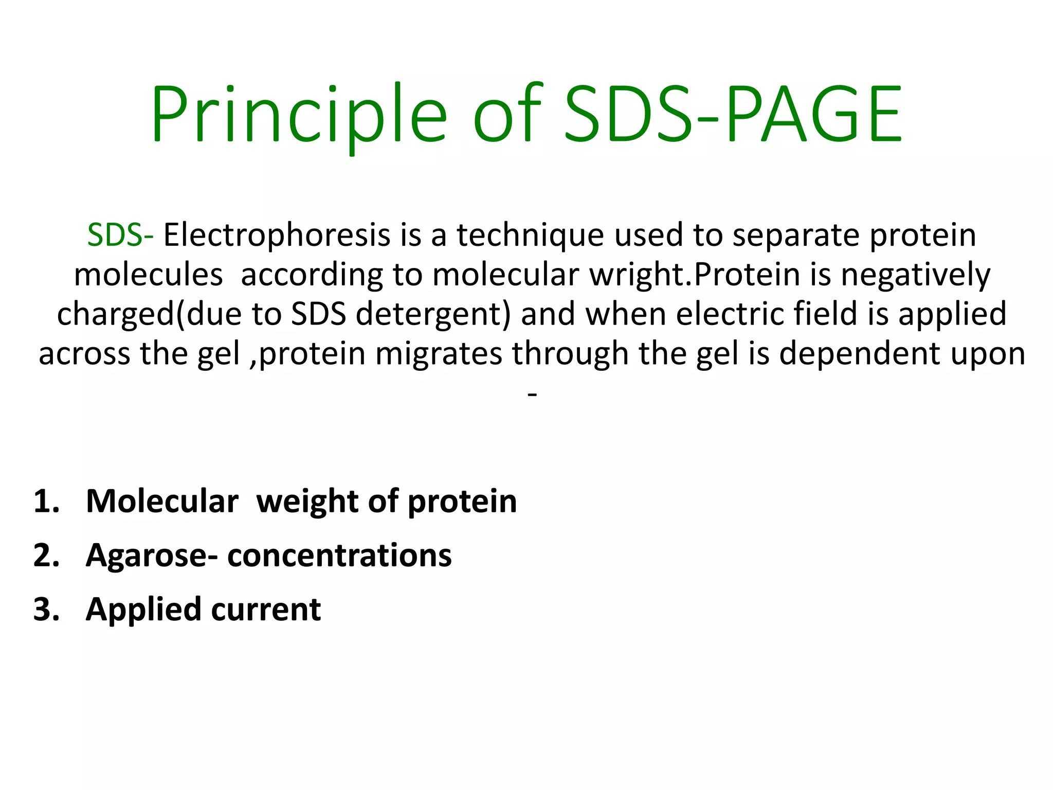 Sds page electrophoresis | PPTX