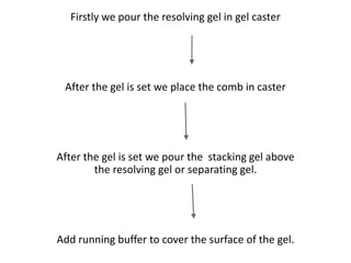 Sds page electrophoresis | PPTX