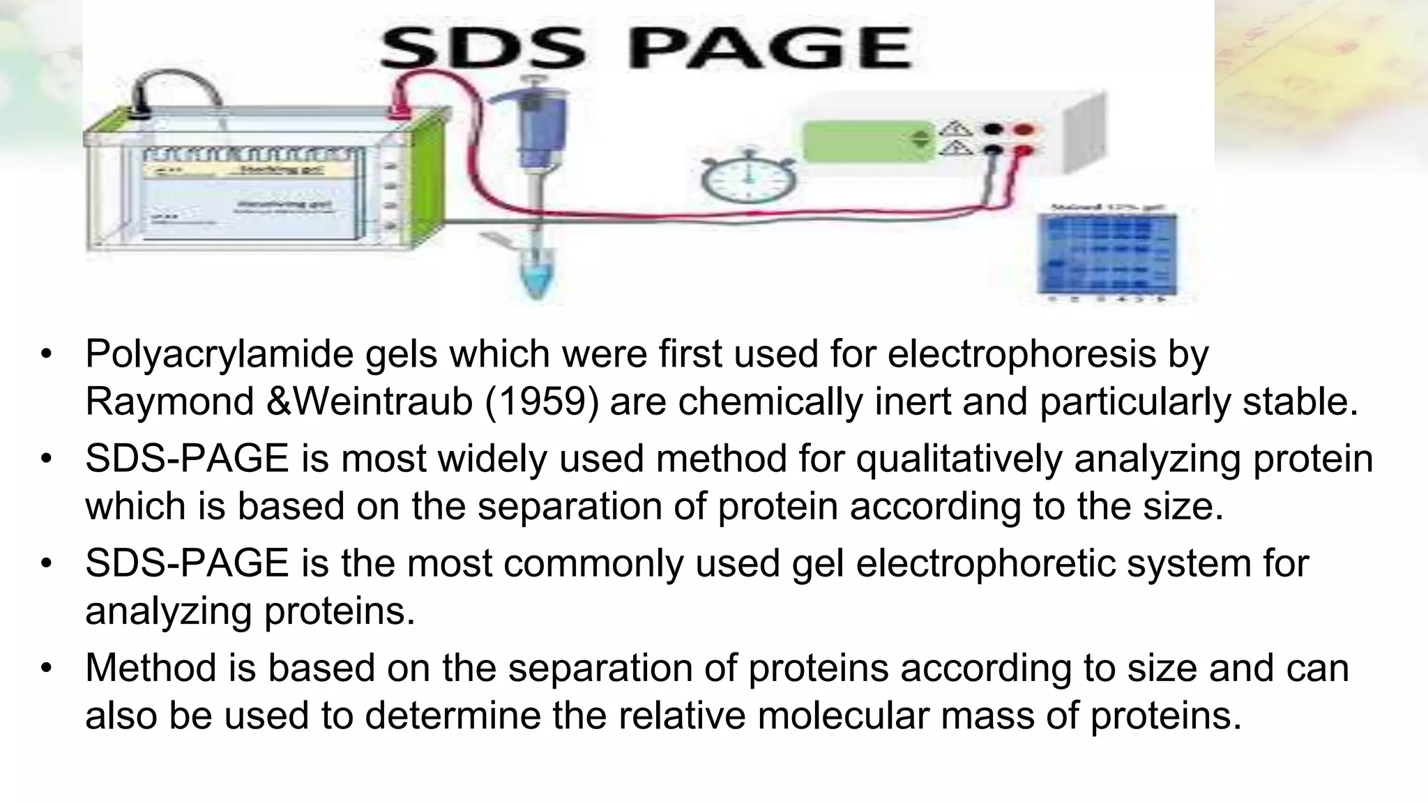 SDS-PAGE Electrophoresis | PPTX