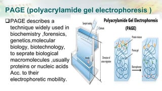 SDS-PAGE Electrophoresis | PPTX