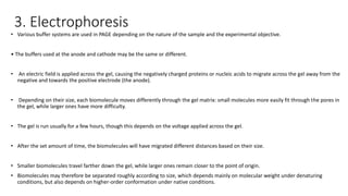 SDS-PAGE Electrophoresis.pptx
