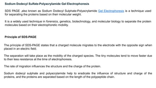 SDS-PAGE Electrophoresis.pptx