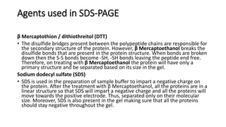 SDS-PAGE Electrophoresis.pptx