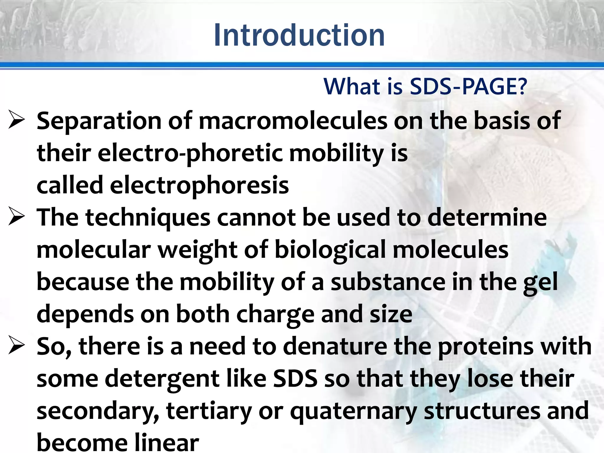 Sds page (sds-polyacrylamide gel electrophoresis- ) | PPT