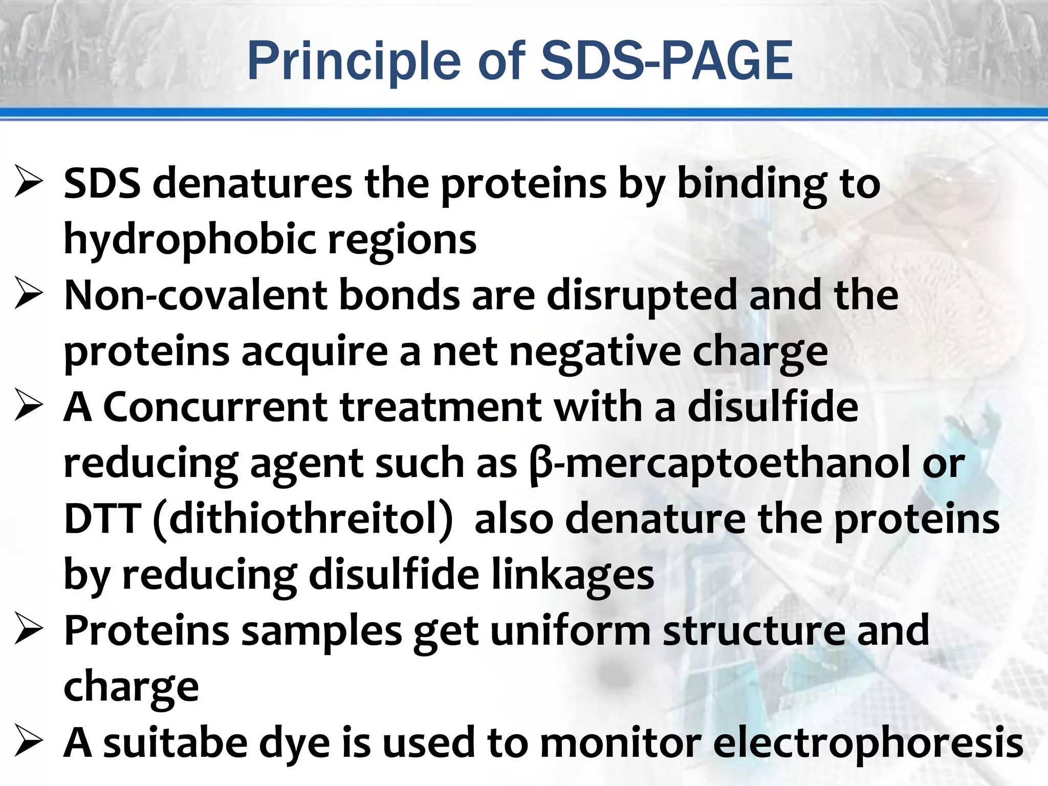 Sds page (sds-polyacrylamide gel electrophoresis- ) | PPT