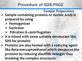 Sds page (sds-polyacrylamide gel electrophoresis- ) | PPT