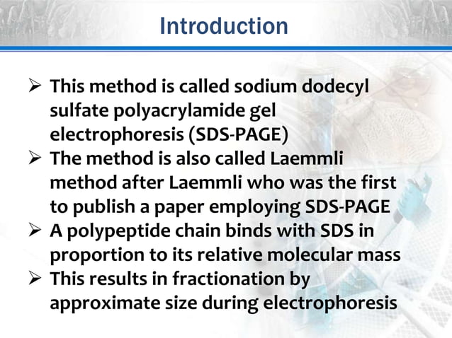 Sds page (sds-polyacrylamide gel electrophoresis- ) | PPT