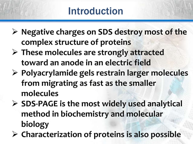 Sds page (sds-polyacrylamide gel electrophoresis- ) | PPT