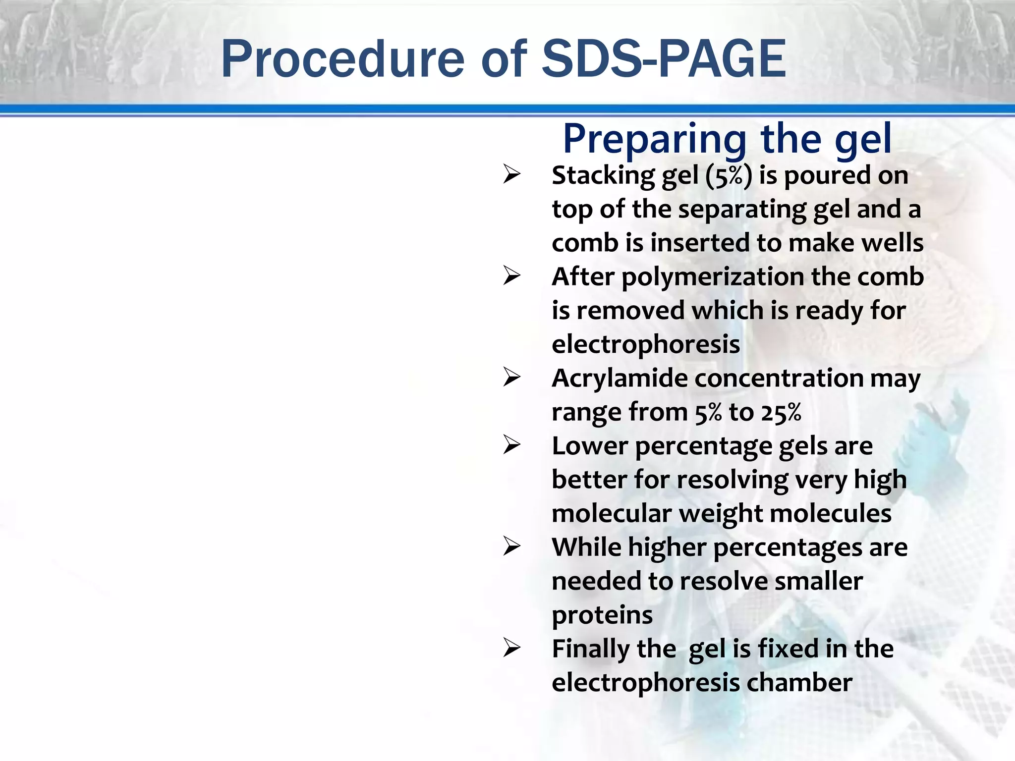 Sds page(sds-polyacrylamide gel electrophoresis) | PPTX