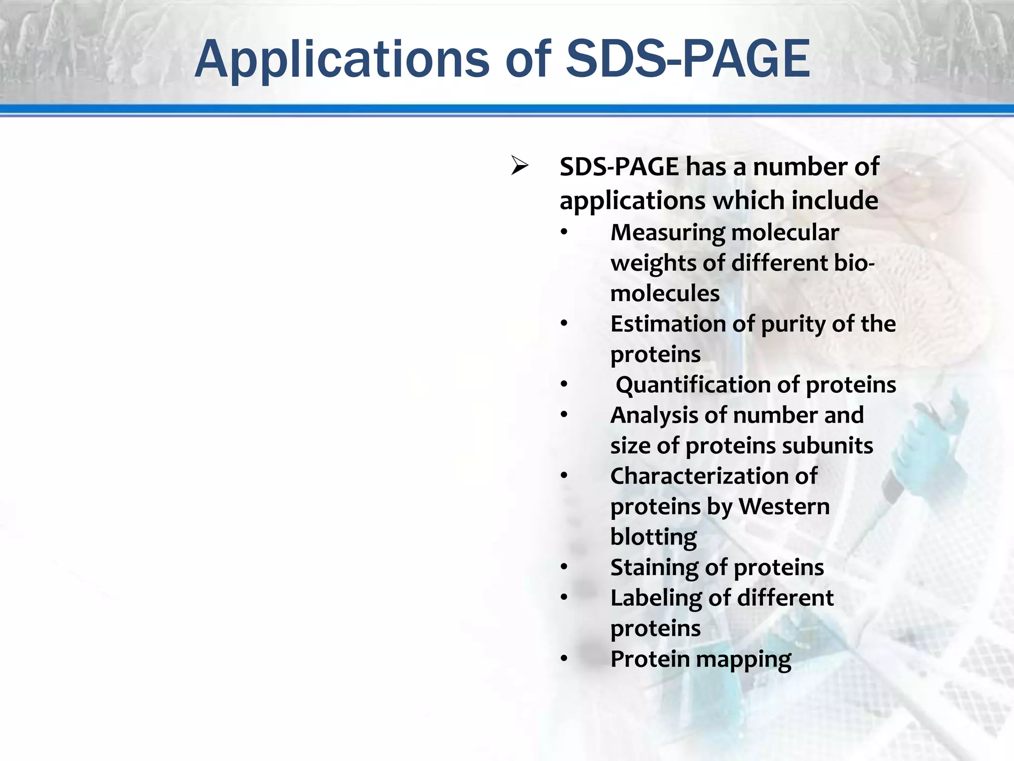 Sds page(sds-polyacrylamide gel electrophoresis) | PPTX
