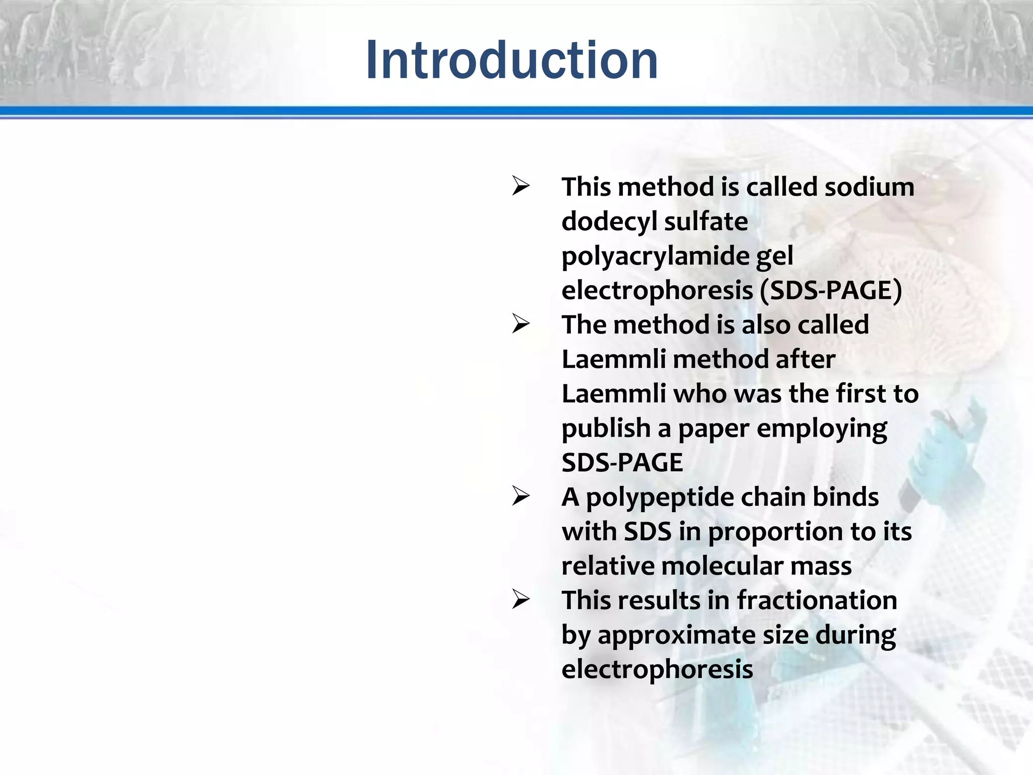 Sds page(sds-polyacrylamide gel electrophoresis) | PPTX