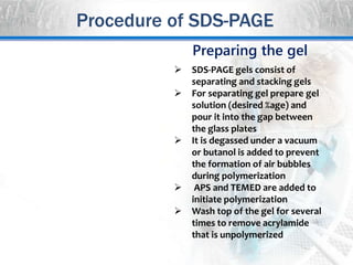 Sds page(sds-polyacrylamide gel electrophoresis) | PPTX
