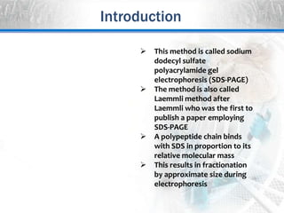Sds page(sds-polyacrylamide gel electrophoresis) | PPTX