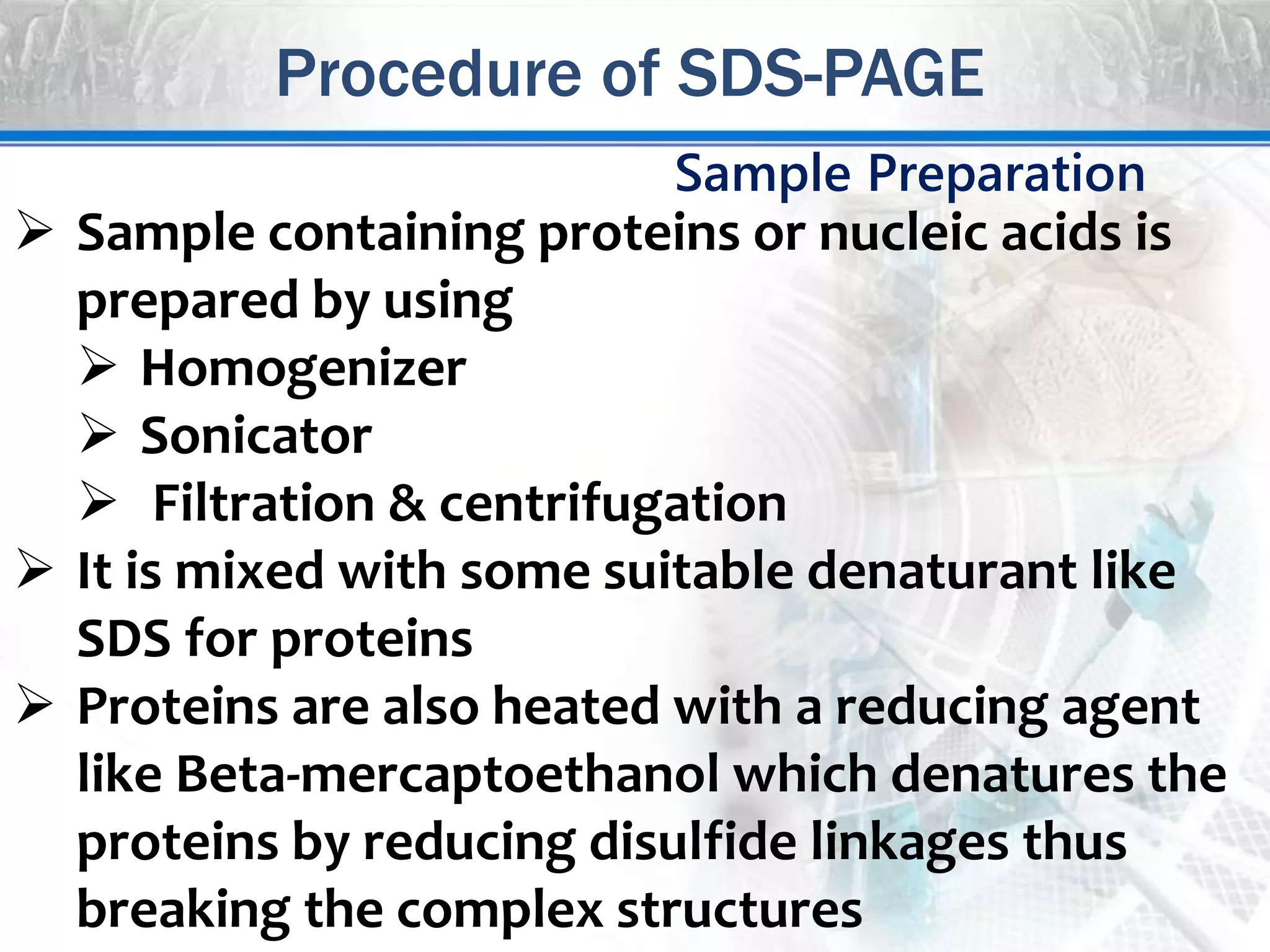 Sds page (sds-polyacrylamide gel electrophoresis- ) | PPT
