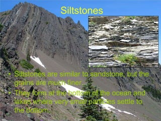 SDS Episode1 - The Formation of Sedimentary Rocks | PPT