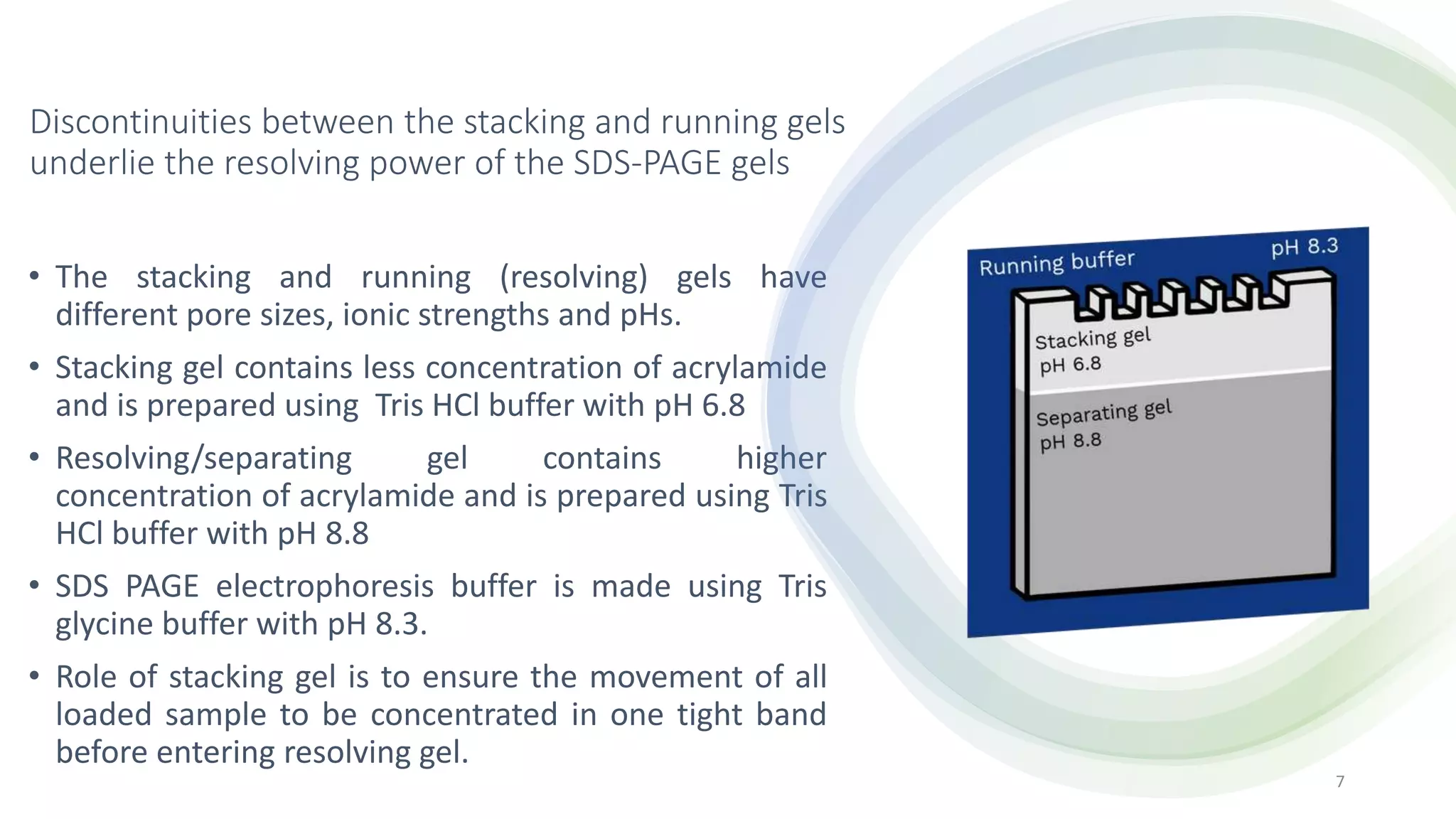 SDS PAGE, WESTERN BLOTTING, AND ELISA | PPTX
