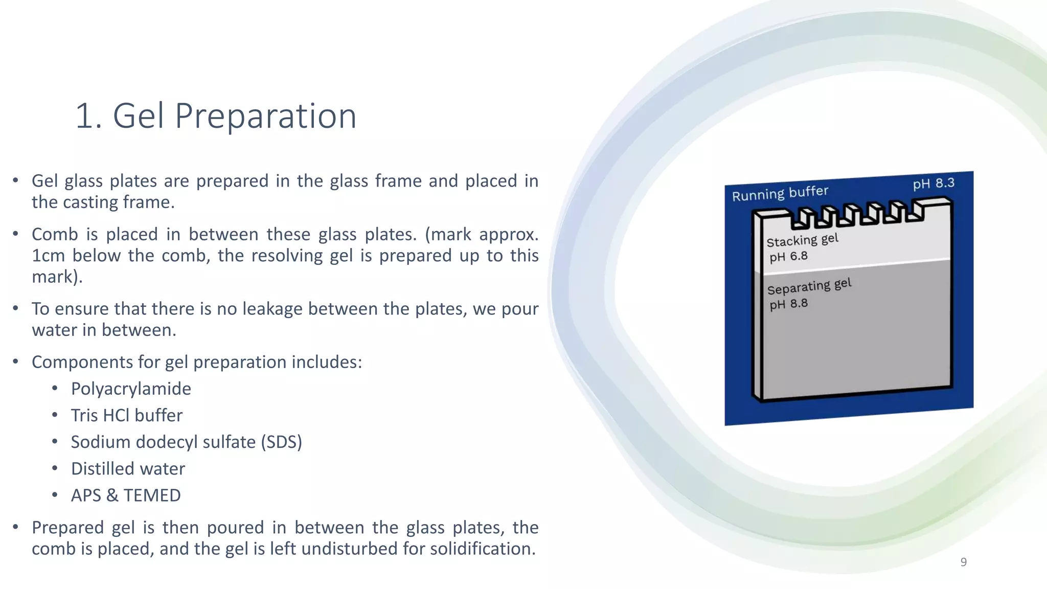 SDS PAGE, WESTERN BLOTTING, AND ELISA | PPTX