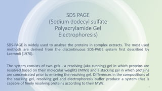 SDS PAGE, WESTERN BLOTTING, AND ELISA | PPTX