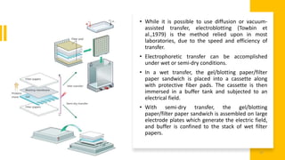 SDS PAGE, WESTERN BLOTTING, AND ELISA | PPTX