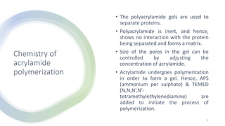 SDS PAGE, WESTERN BLOTTING, AND ELISA | PPTX