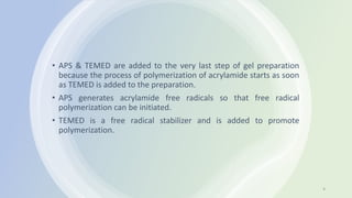 SDS PAGE, WESTERN BLOTTING, AND ELISA | PPTX