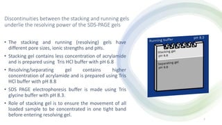 SDS PAGE, WESTERN BLOTTING, AND ELISA | PPTX