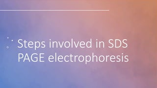 SDS PAGE, WESTERN BLOTTING, AND ELISA | PPTX