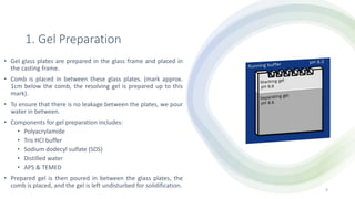 SDS PAGE, WESTERN BLOTTING, AND ELISA | PPTX