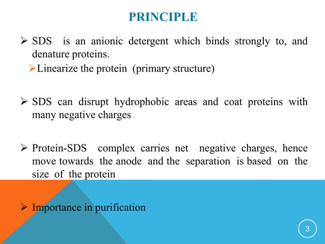 Sds page | PPT