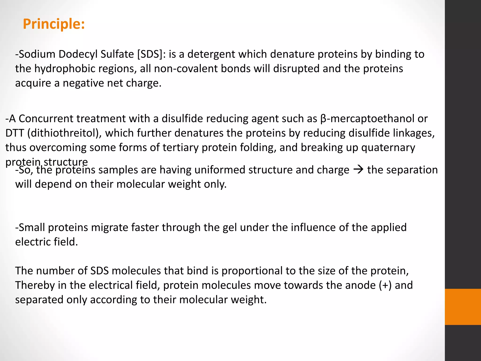 SDS PAGE | PPTX