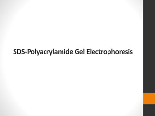 SDS PAGE | PPTX