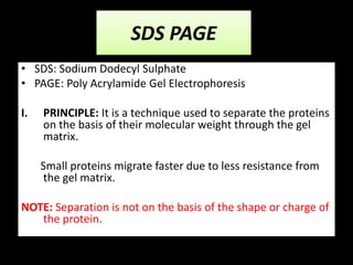 Sds page | PPT