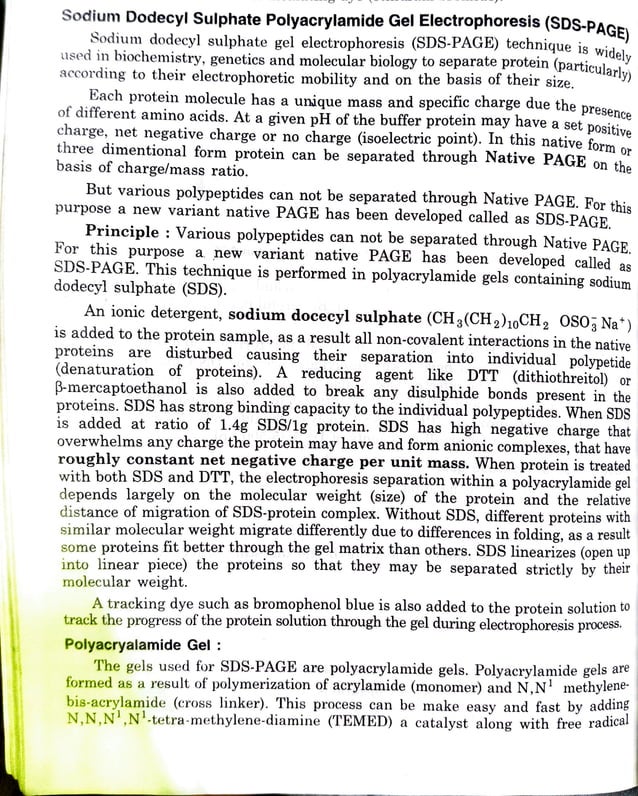 SDS PAGE (Electrophoresis).pdf Book Notes | PDF