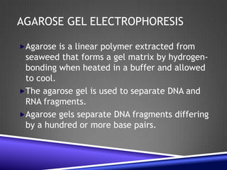 Sds page and agarose presentation. | PPTX