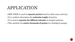 SDS PAGE assignment.pptx