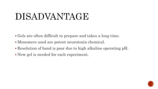 SDS PAGE assignment.pptx
