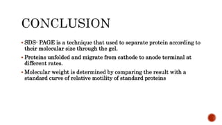 SDS PAGE assignment.pptx