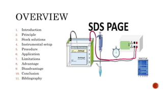 SDS PAGE assignment.pptx