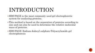 SDS PAGE assignment.pptx