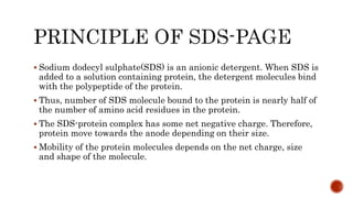 SDS PAGE assignment.pptx