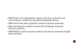 SDS PAGE assignment.pptx