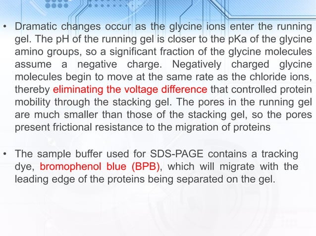 Sds page gel electrophoresis | PPTX | Chemistry | Science