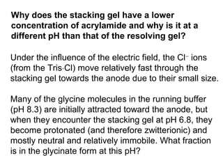 SDS Page Lecture | PPT