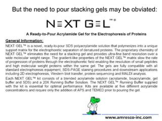 SDS Page Lecture | PPT