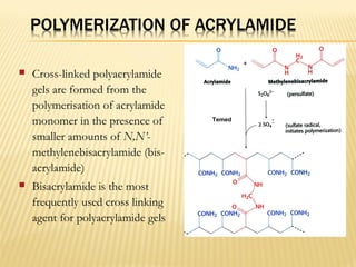Sds page gel electrophoresis | PPT